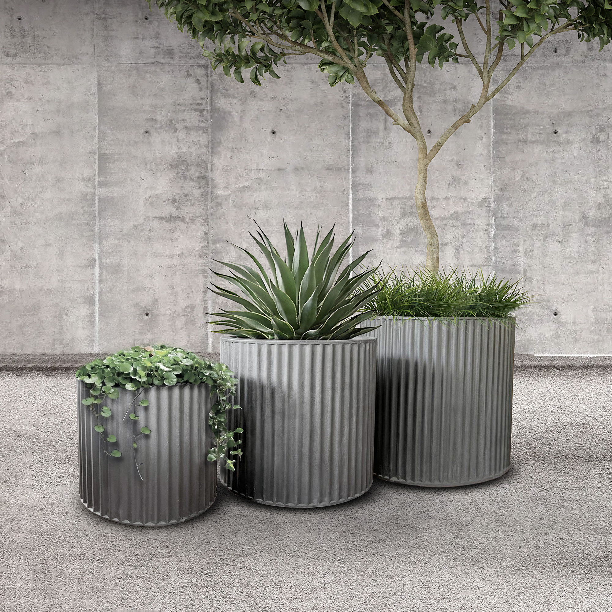 Hokku Designs Alidiya 3 Piece 31", 28" and 24"H Round Concrete Modern Tall Planters | Wayfair